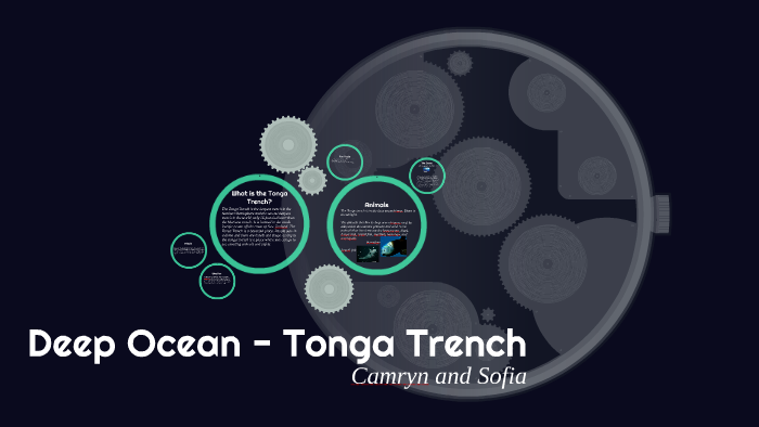 Deep Ocean - Tonga Trench by Sofia Fischer on Prezi