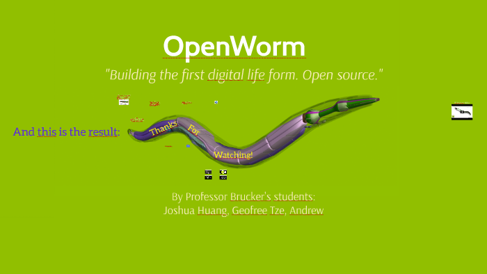 OpenWorm by Brian Ng on Prezi