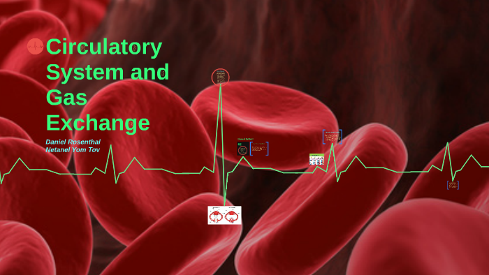 Circulatory System by Dan Rose on Prezi