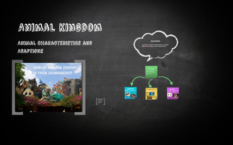 Animal Kingdom by Sherene Smith on Prezi
