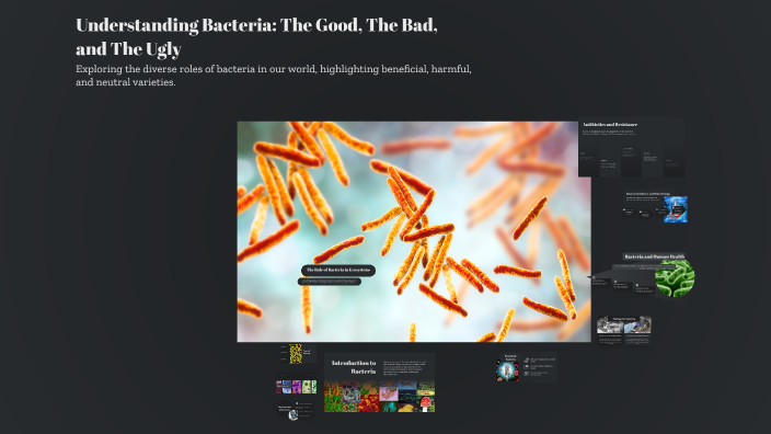 Understanding Bacteria: The Good, The Bad, and The Ugly by Ali Azad on ...