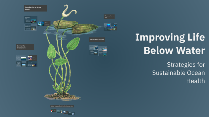Improving Life Below Water by ISAAC on Prezi