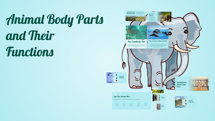 Animal Body Parts and Their Functions by Teacher Mai on Prezi