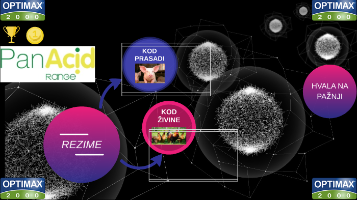Pan Acid by Nikola Todorovic on Prezi
