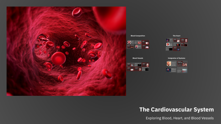 The Cardiovascular System by Kelly Beeson on Prezi