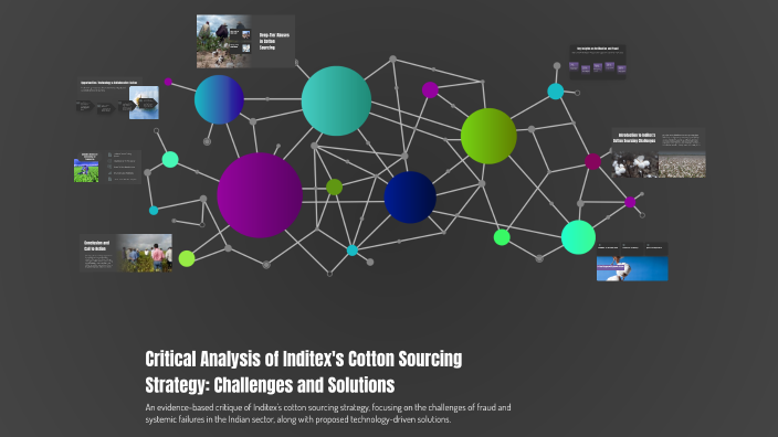 Critical Analysis of Inditex's Cotton Sourcing Strategy: Challenges and ...