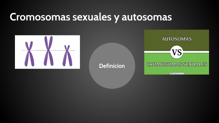 cromosomas sexuales y autosomas by mateo ponce de leon on Prezi