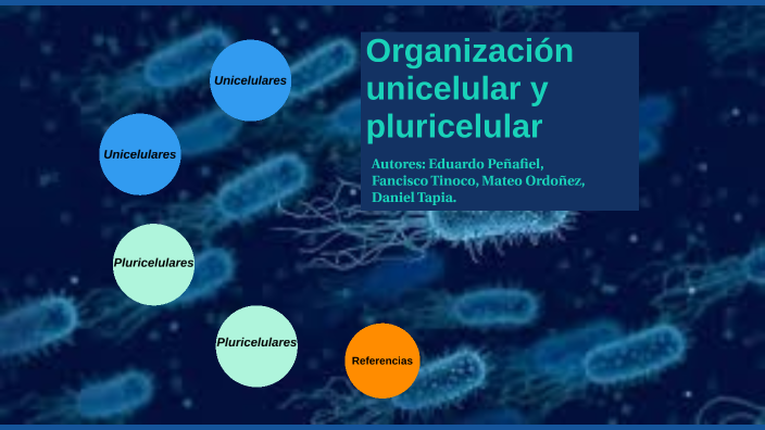 Organismos unicelulares y pluricelulares by Eduardo Peñafiel on Prezi
