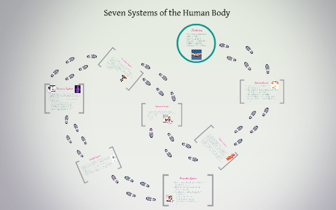 Seven Systems of the Human Body by Ally Szecsi on Prezi