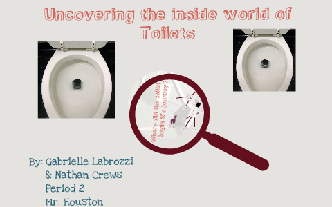 Toilet Presentation by Amanda Smith on Prezi