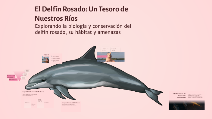 El Delfín Rosado: Un Tesoro de Nuestros Ríos by Rossana rivero fasabi ...