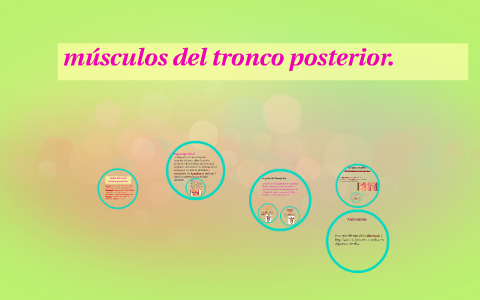 musculos del tronco posterior by jennifer lara franco on Prezi