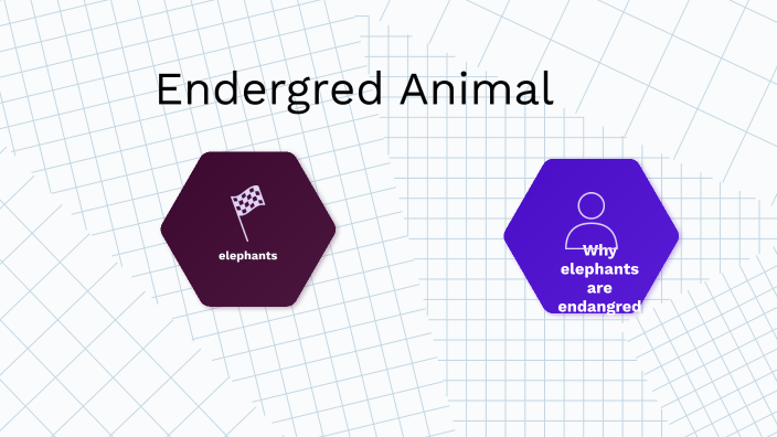 endangered animals by Barbara Kluczyńska on Prezi