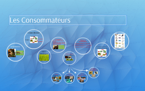 SCIENCE-Les Consommateurs by Hugo Whitfield on Prezi
