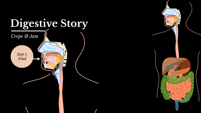 Digestive Story by Alexey Lemberg on Prezi