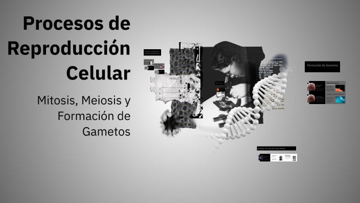 Procesos de Reproducción Celular by Daniel Osegueda on Prezi