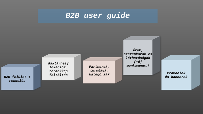 B2B user guide v2 by Dóra Tiringer on Prezi