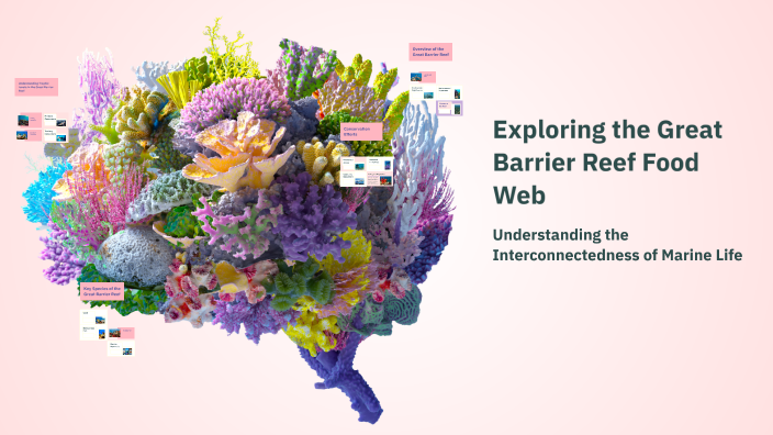 Exploring the Great Barrier Reef Food Web by brax taylor on Prezi