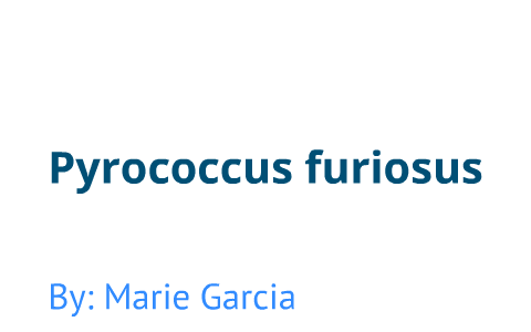Pyrococcus furiosus by Marie Garcia on Prezi