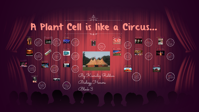 A Plant Cell Is Like A Circus... by Kiaraliz Roldan on Prezi
