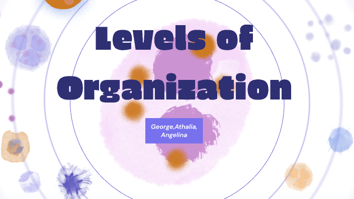 Levels of organization by George Morrison on Prezi