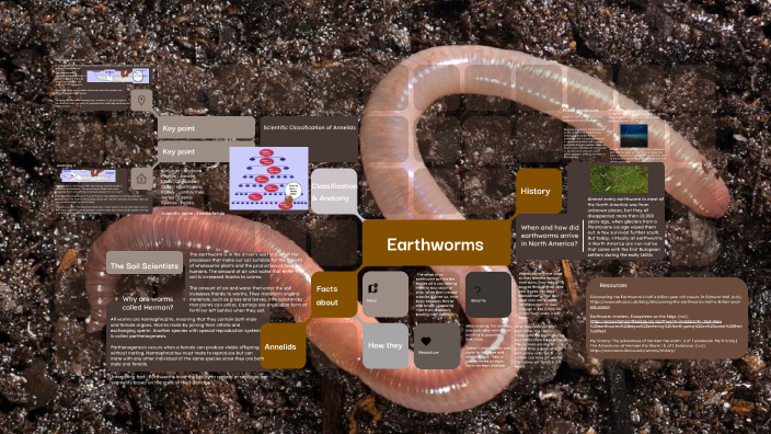 Unit 7 Project - Sally Kim, How do earthworms make soil richer? How do ...