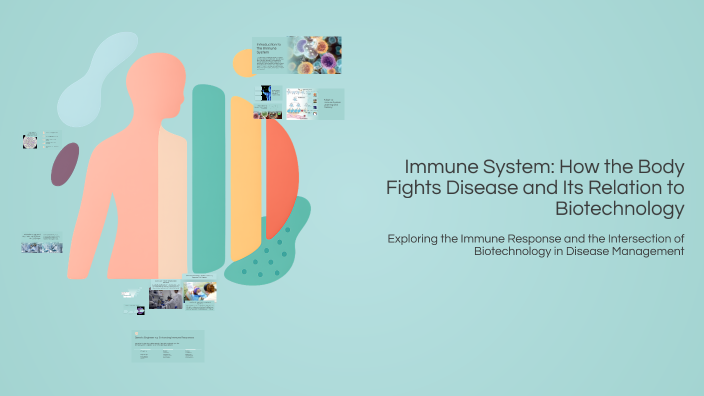 Immune System: How the Body Fights Disease and Its Relation to ...