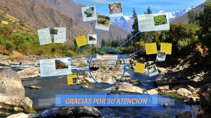 PLANTAS NATIVAS DEL CUSCO by Soe Robles on Prezi