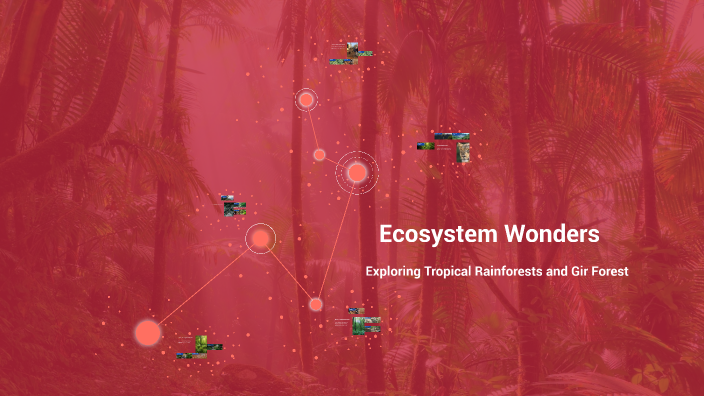 Ecosystem Wonders by Jinansh Shah on Prezi
