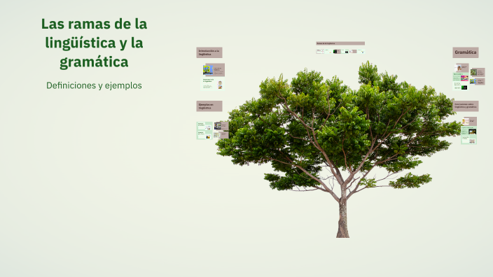 Las ramas de la lingüística y la gramática by Yulieth Castaño on Prezi