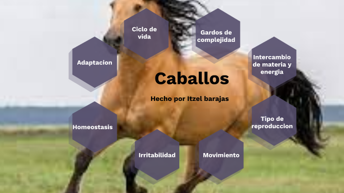 Ejercicio 1 CdlV by Itzel Barajas on Prezi