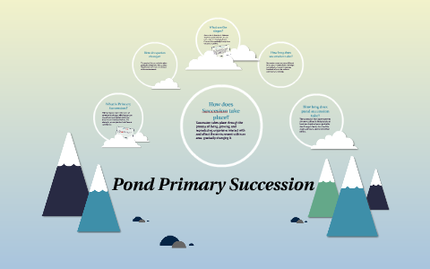 Pond Primary Succession by Claudia Jeansonne on Prezi