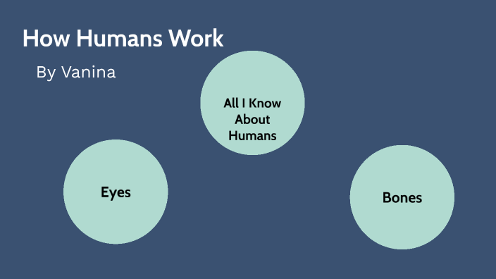 How Humans Work by Vanina Fileva on Prezi