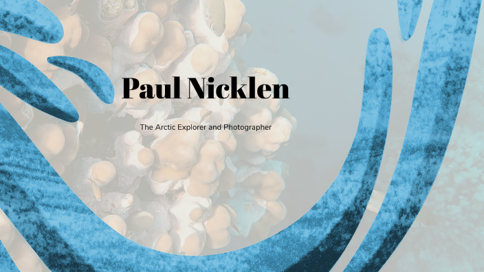 Paul Nicklen's Photography by Erica Kline on Prezi