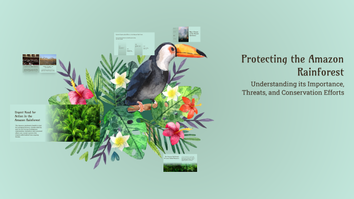 Protecting the Amazon Rainforest by johnny BUSTAMANTE on Prezi