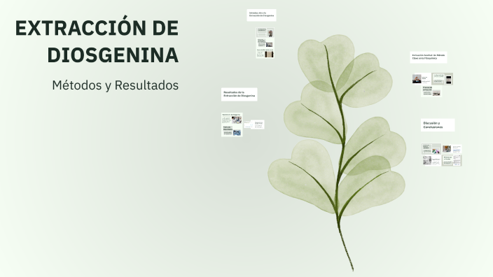 EXTRACCIÓN DE DIOSGENINA by Diana Varela on Prezi
