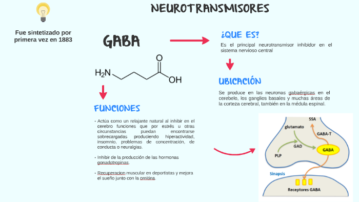 GABA - NEUROTRANSMISORES by Mariam Velasco on Prezi
