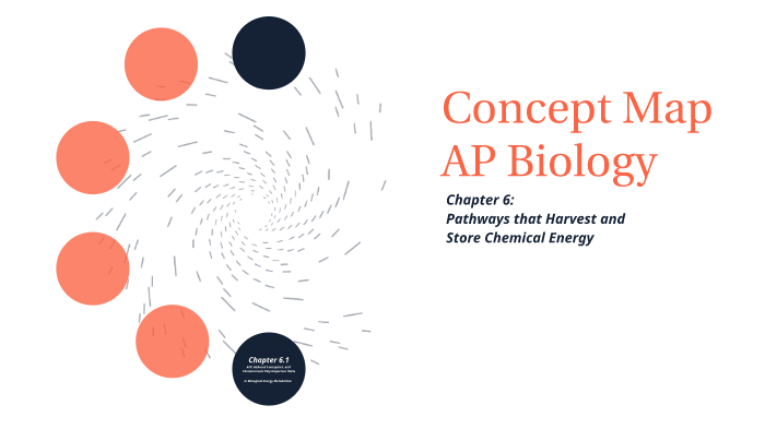 AP Biology Concept Map: Chapter 6 by afaaf a on Prezi