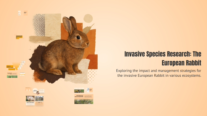 Invasive Species Research: The European Rabbit by Mia Soto on Prezi