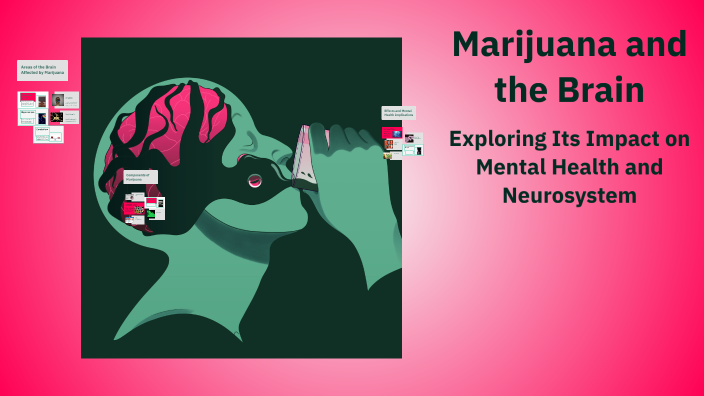 Marijuana and the Brain by Mya Nabors on Prezi