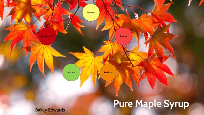 Pure Maple Syrup by Bailey Edwards on Prezi