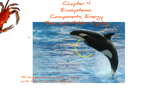 Environmental Science Unit 2: Chapter 4 Ecosystems; Components, Energy ...