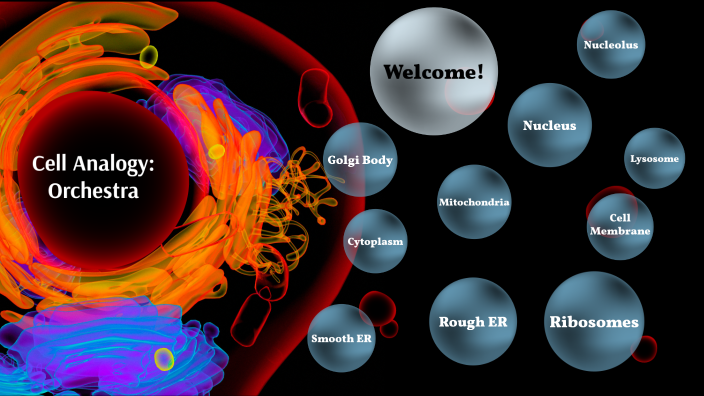 Cell Analogy: Orchestra by Anika S on Prezi