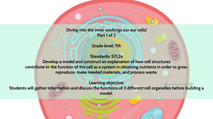 Diving into Cells! by Morgan Cochran on Prezi