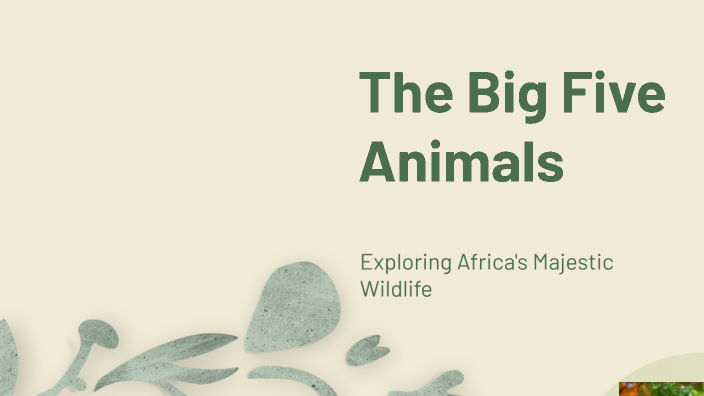 The Big Five Animals by Rikke Lykkehave on Prezi