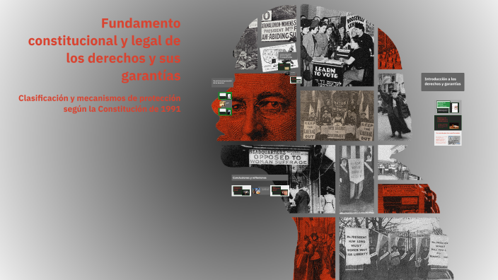Fundamento constitucional y legal de los derechos y sus garantías by ...