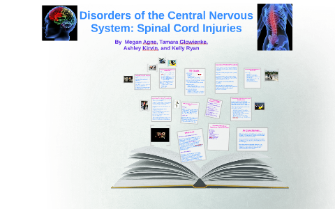 Disorders of the Central Nervous System: Spinal Cord Injuries by Kelly ...