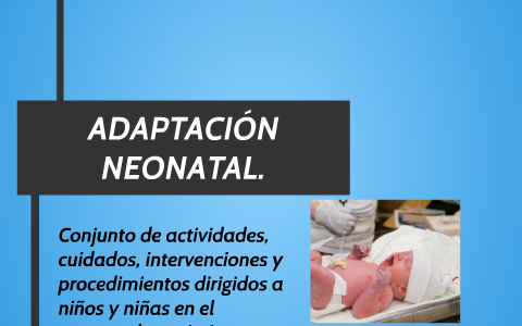 ADAPTACIÓN NEONATAL by katherine andrea maya restrepo on Prezi