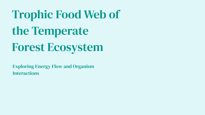 Trophic Food Web of the Temperate Forest Ecosystem by river pilon on Prezi