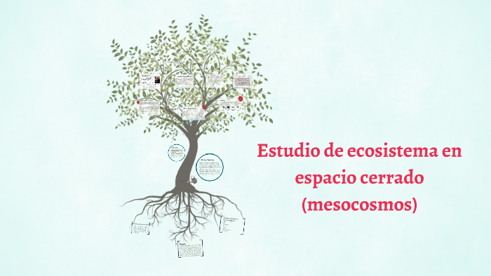 Estudio de ecosistema en espacio cerrado (mesocosmos) by Shello Gonzo ...